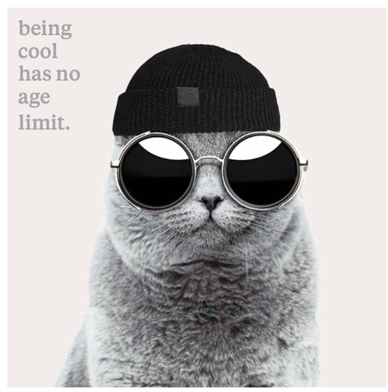 Being Cool Greeting Card – Pengetout